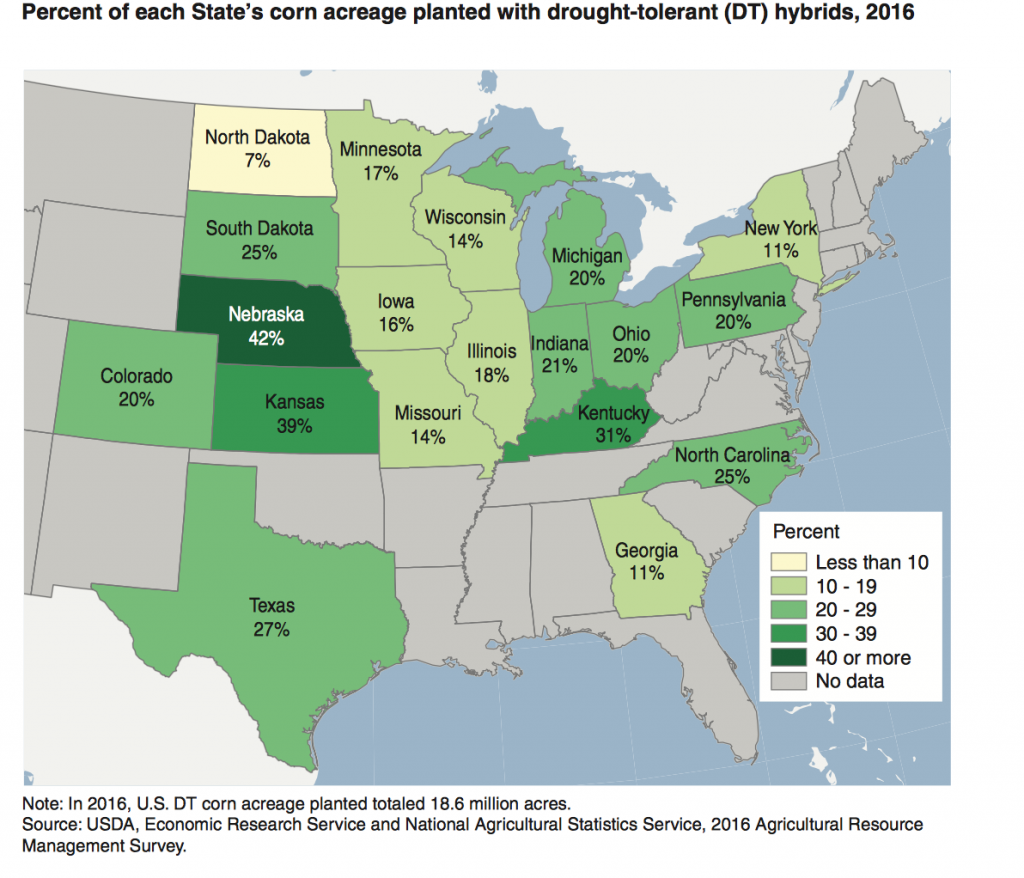Drought-Tolerant Corn in the U.S., New Report from USDA's Economic ...