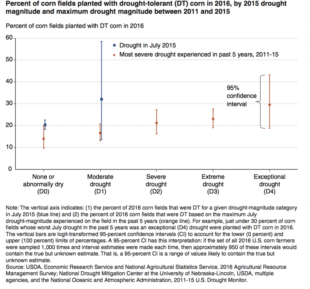 Drought-Tolerant Corn in the U.S., New Report from USDA's Economic ...