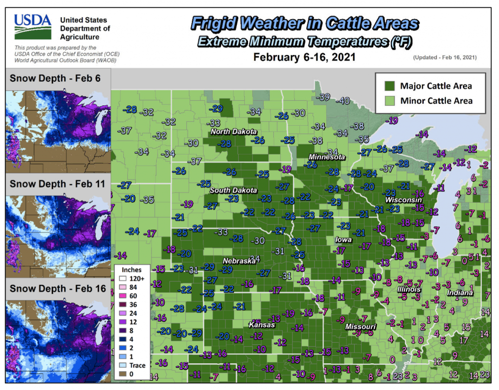 Winter Storms Take Heavy Toll on Agriculture - Farm Policy News