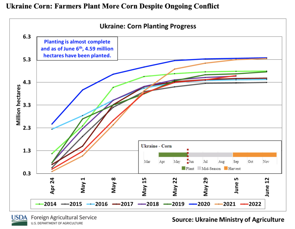 In Southern Odesa, Ukrainian Grain Harvest Begins, While USDA Increases ...