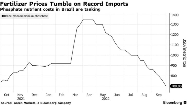 "Most Expensive Crop in Decades," Farmers Battling Skyrocketing Costs ...