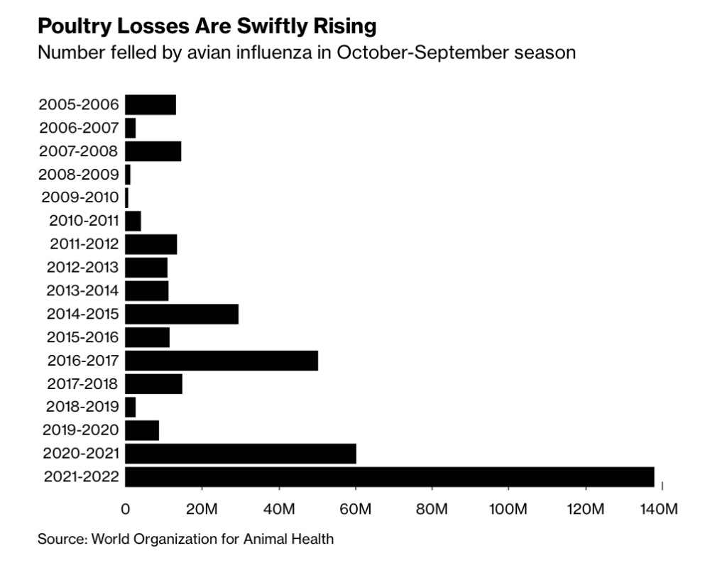 Bird Flu Impacts, and A Glance at Production Cost Variables - Farm ...