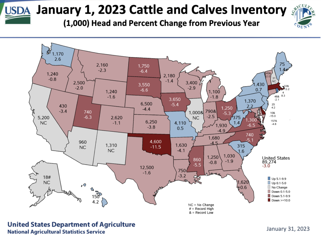 Jan. 1 Cattle Inventory Down 3%, Beef Cow Herd Lowest Since 1962; While ...