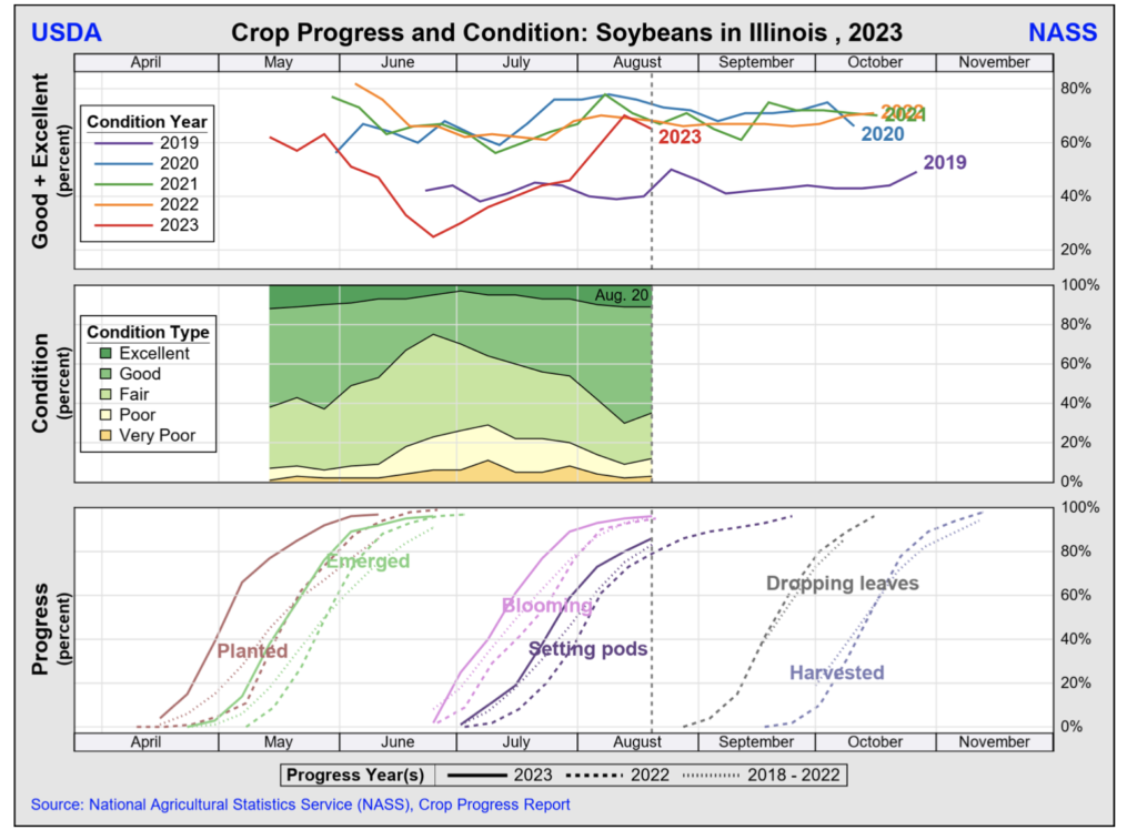 U.S. Corn Ratings Decline, Soybeans Steady, While Spring Wheat ...