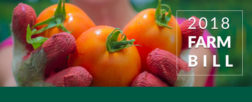 2018 Farm Bill Extension Expires — What Does That Mean? - Farm Policy News