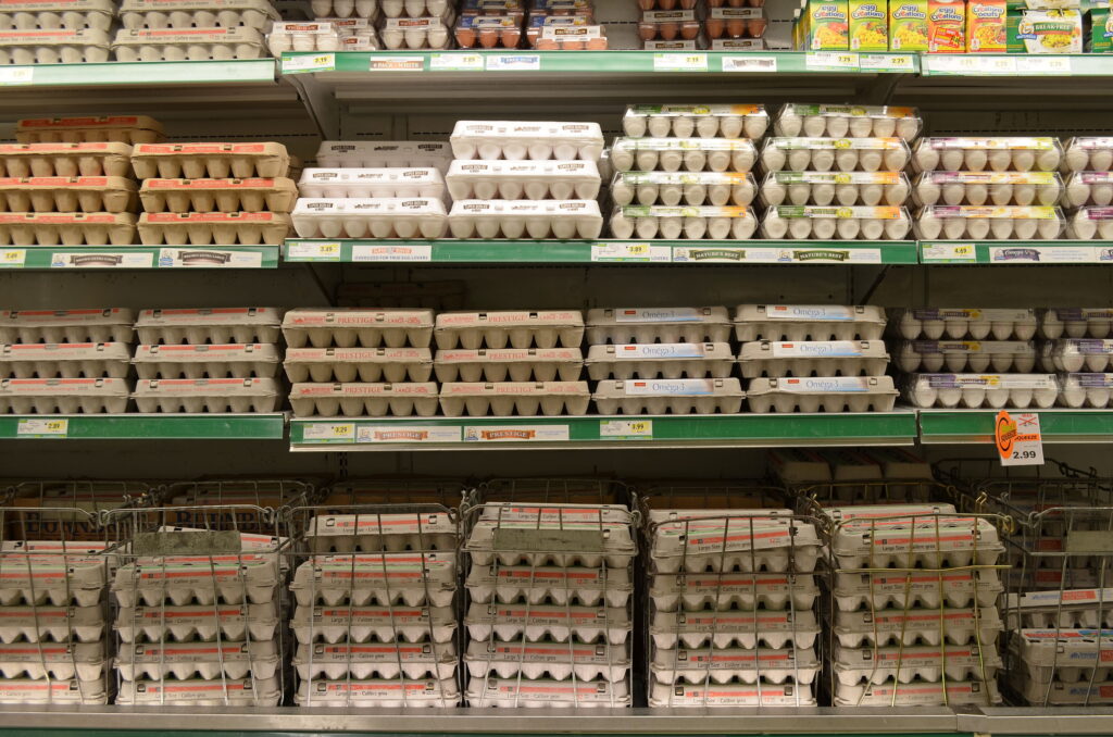 US Rapidly Increasing Foreign Egg Imports Amid Bird Flu - Farm Policy News