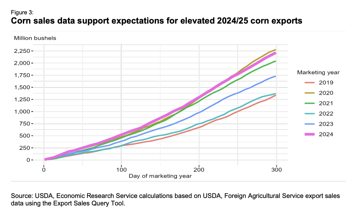 US Corn Export Sales Forecast at Record Levels - Farm Policy News