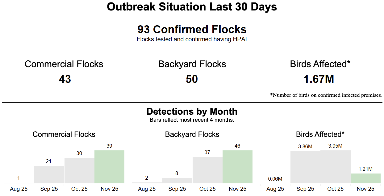 Bird Flu Surging as Holiday Season Begins - Farm Policy News